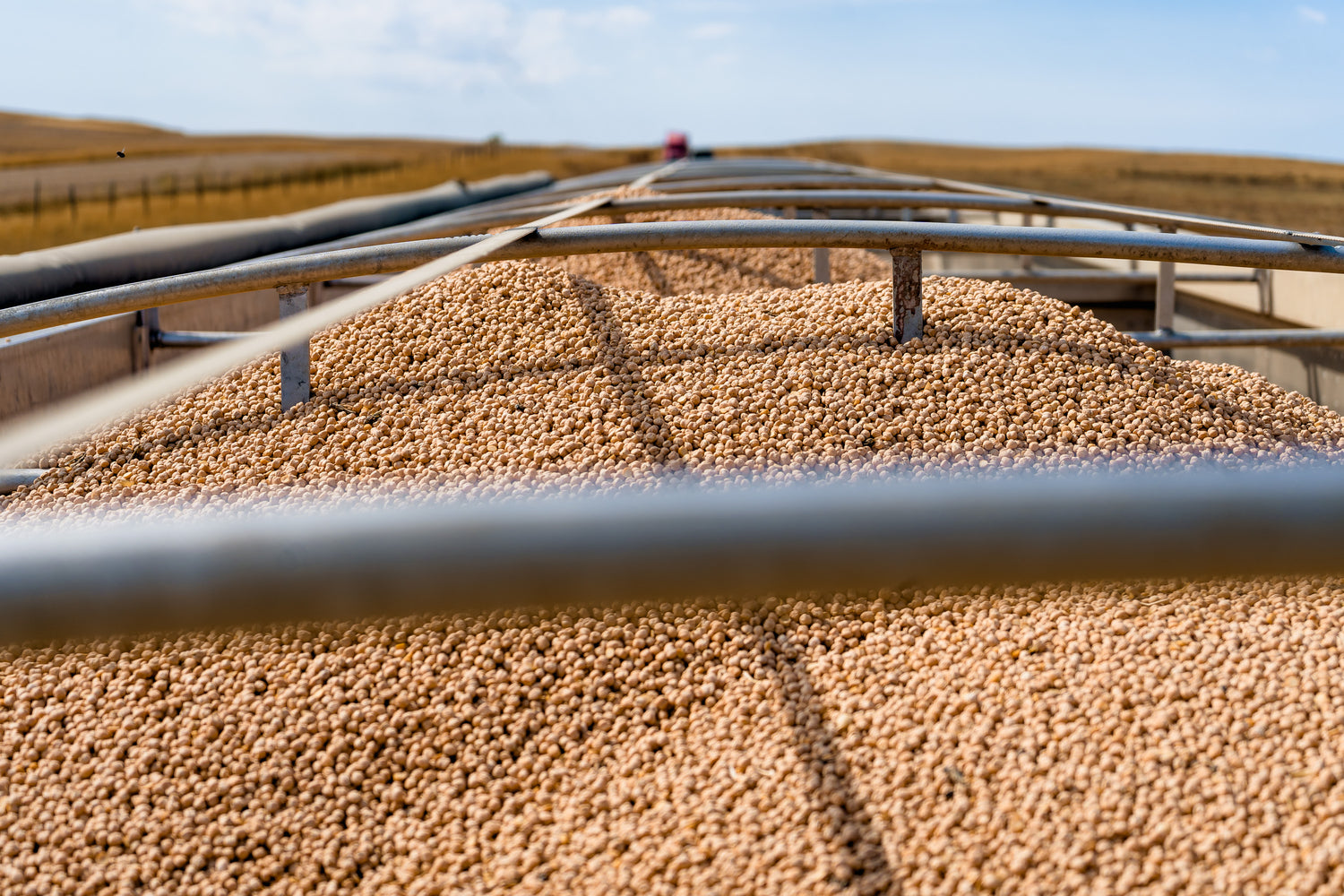 About the Farm – 41 Grains